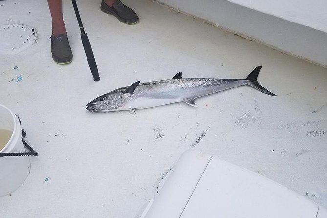 Shared Deep Sea Fishing Trip from Destin - Practical Tips for Your Trip