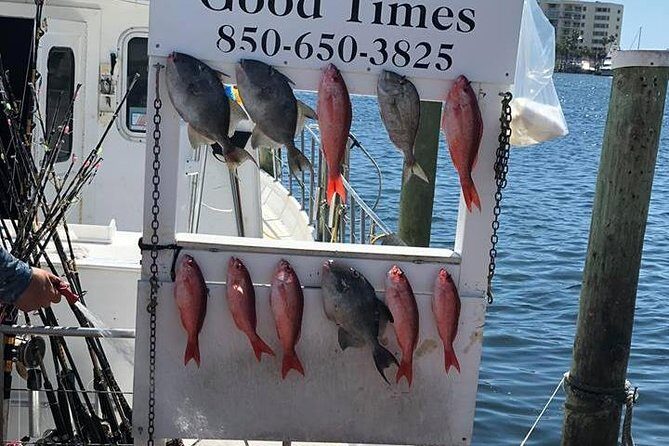 Shared Deep Sea Fishing Trip from Destin - The Sum Up