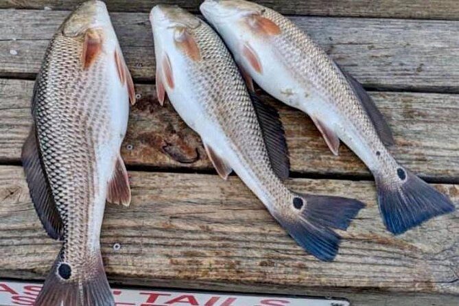Shared Deep Sea Fishing Trip from Destin - FAQ