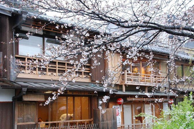 Shared Departure Transfer : Kyoto City to Kansai International Airport - What Travellers Say