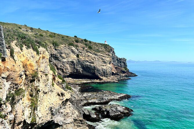 Shared Dunedin City & Otago Peninsula Scenery Day Tour up to 10 - An In-Depth Look at the Itinerary