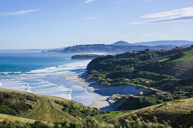 Shared Dunedin City & Otago Peninsula Scenery Day Tour up to 10 - Value and Practicalities