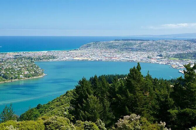 Shared Dunedin City & Otago Peninsula Scenery Day Tour up to 10 - Frequently Asked Questions