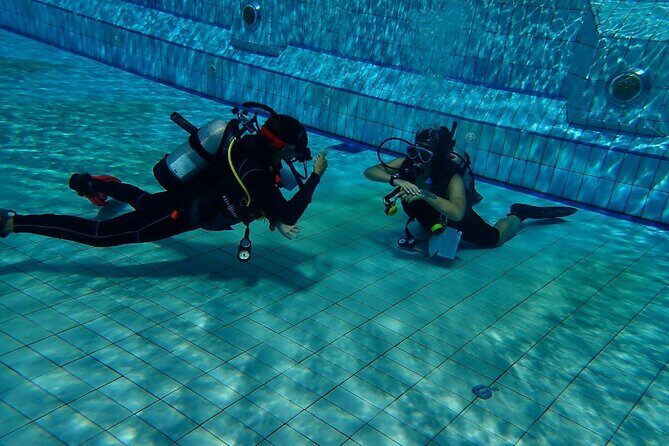 Shared Experience PADI Open Water Diver Course Gold - Key Points