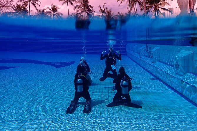 Shared Experience PADI Open Water Diver Course Gold - What to Expect from the Phuket PADI Open Water Diver Course