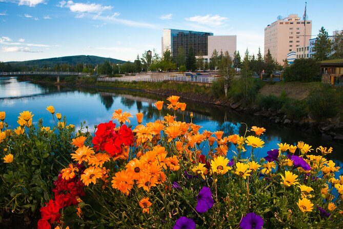 Shared Fairbanks to Denali National Park Entrance Transport - Key Points