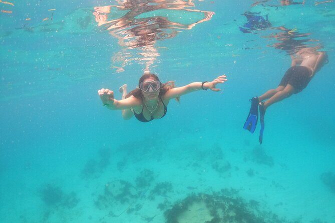 Shared Family Snorkeling Boat with Drinks and Snacks - Authentic Experiences Highlighted in Reviews