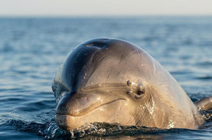 Shared Fiji Experience Rakiraki Tour by Land and Sea - The Practical Side: Value and Expectations