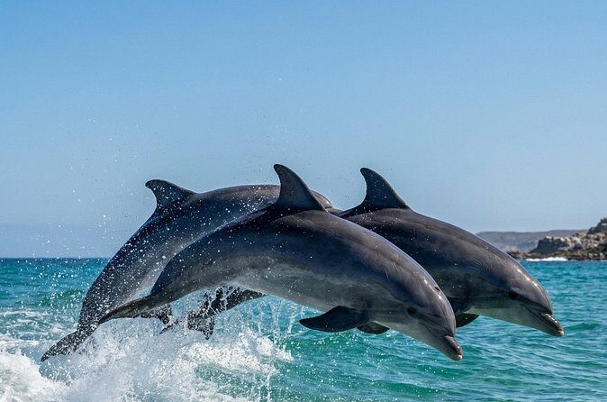 Shared Fiji Experience Rakiraki Tour by Land and Sea - FAQs