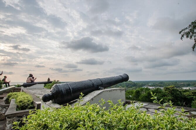 Shared Fireflies Tour with Blue Tears and Seafood Dinner - The Night Safari: Fireflies and Blue Tears