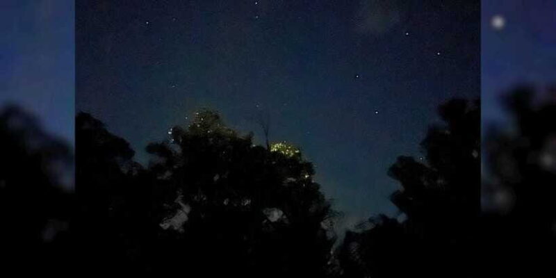 Shared Firefly Watching Cruise on Bohols Scenic Loboc River - FAQ