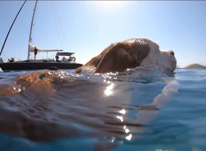Shared Half Day Cruise in Athenian Riviera - An Honest Look at the Experience