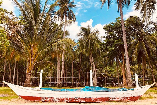 Shared Honda Bay Island Hopping Tour - What Makes This Tour Stand Out