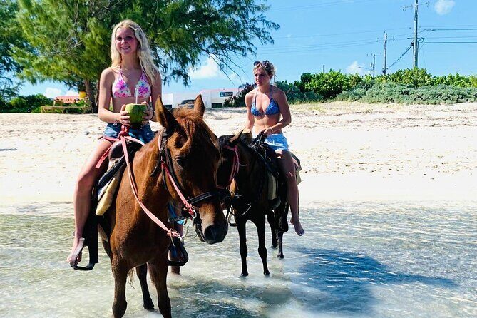 Shared Horseback Riding in Turks and Caicos - The Experience in Detail