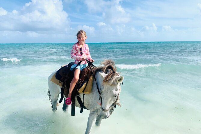 Shared Horseback Riding in Turks and Caicos - Practical Tips for Making the Most of Your Ride