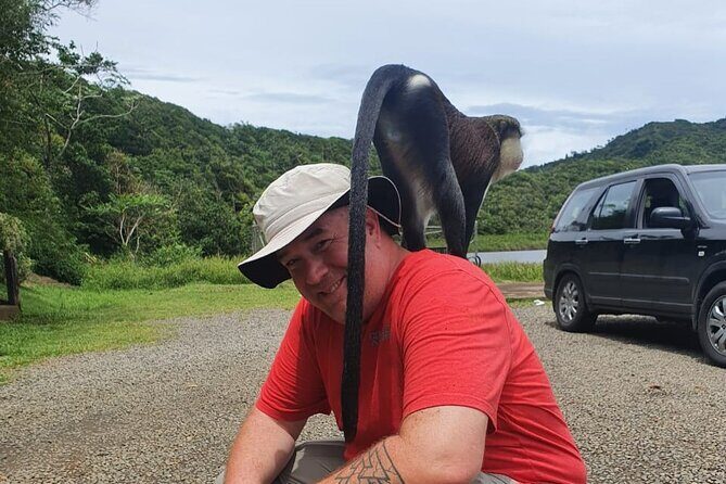 Shared Island Tour with Lunch & Admissions - An Introduction to the Tour