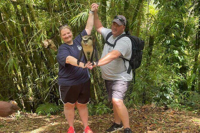 Shared Island Tour with Lunch & Admissions - Who Should Consider This Tour?