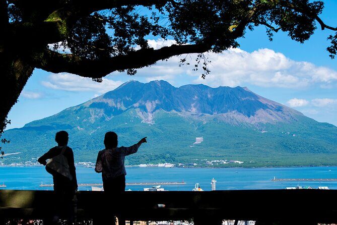 Shared Kagoshima Half-Day Sightseeing Tour - Analyzing the Value and Practicalities