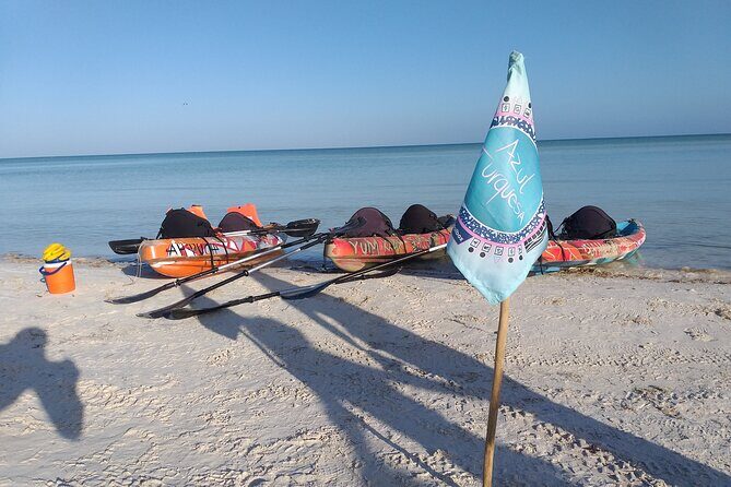 Shared mangroves kayak tour in Holbox - Practical Tips