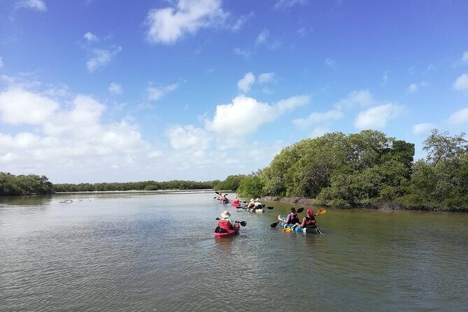 Shared mangroves kayak tour in Holbox - Final Thoughts