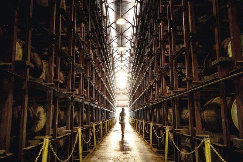 Shared or Private FD Appleton Rum, YS Falls & Pelican Bar - A Full Breakdown of the Tour Experience