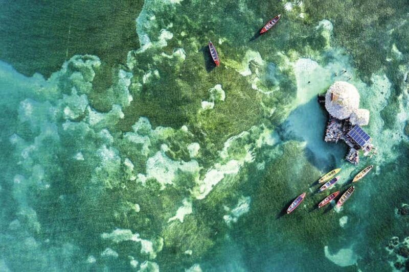 Shared or Private FD Appleton Rum, YS Falls & Pelican Bar - Final Thoughts: Is This Tour Worth It?