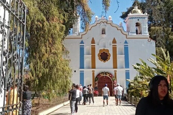 Shared Santa Maria Del Tule Bike Tour - The Tour in Detail