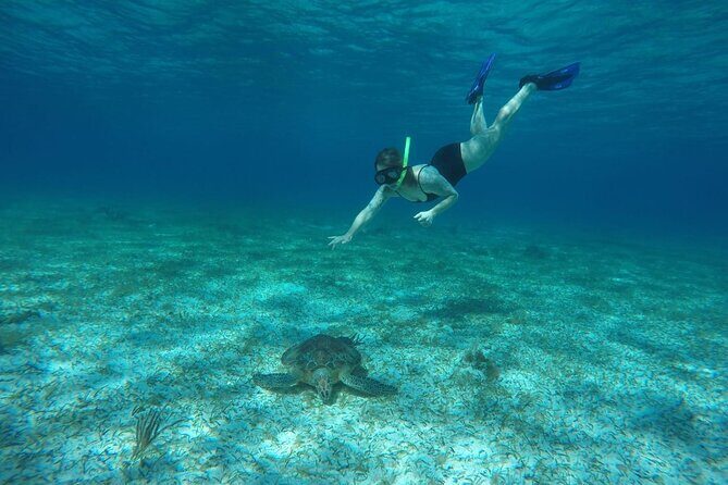 Shared Sky Snorkeling in Cozumel - Final Thoughts