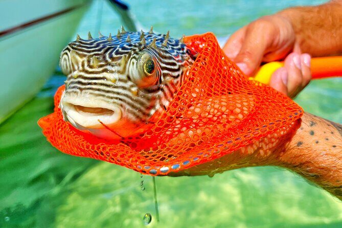 Shared Small Group Slide Pontoon Crab Island Experience - Analyzing the Value: Is It Worth the Price?