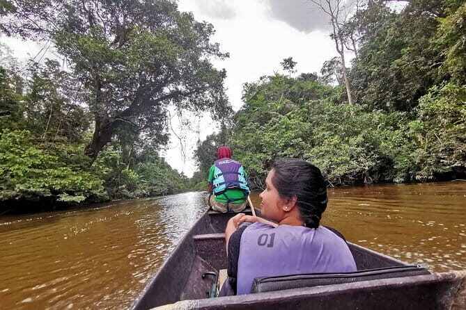 Shared Taman Negara Nature Tour with Lata Berkoh Falls - Key Points