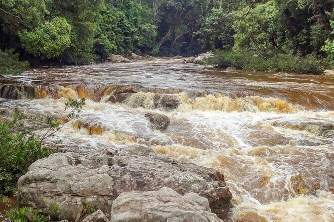 Shared Taman Negara Nature Tour with Lata Berkoh Falls - Practical Aspects and Value