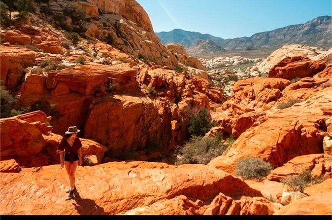Shared Tour in Red Rock Canyon - An In-Depth Look at the Red Rock Canyon Tour