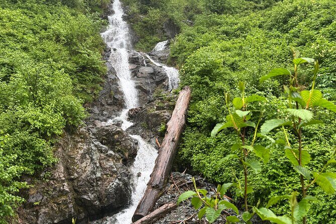 Shared Tour in Sitka with Meal - Who Will Love This Tour?