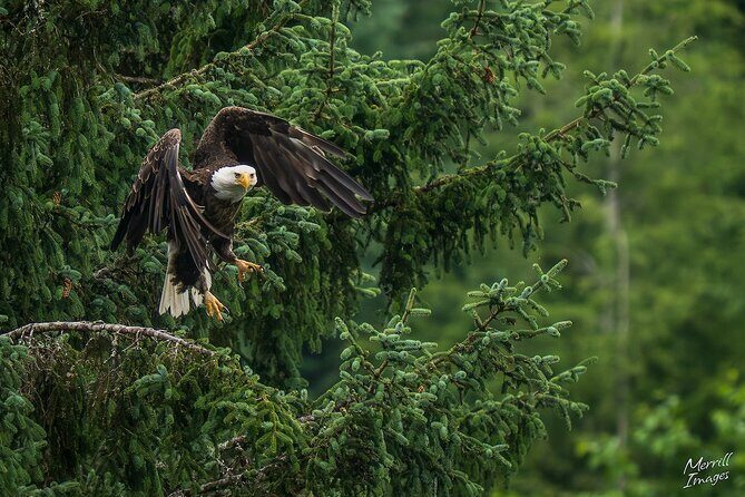 Shared Tour in Sitka with Meal - Final Thoughts: Is This Tour Worth It?