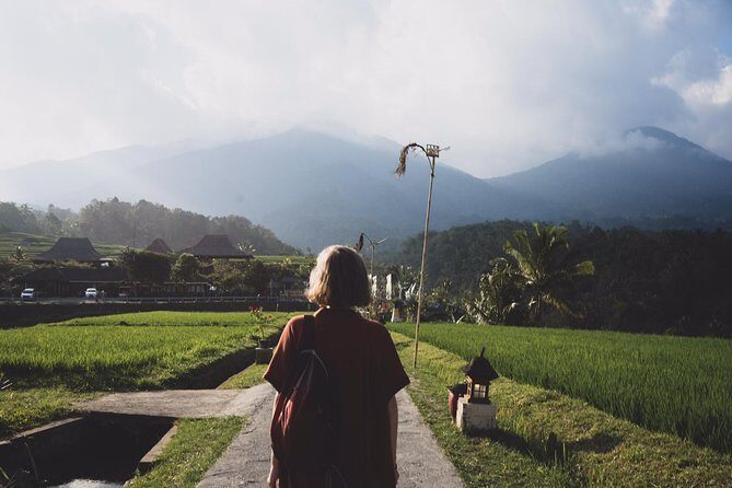 Shared Tour: Jatiluwih Rice Terraces - Ulun Danu Temple - Banyumala Waterfalls - Practical Details and What to Expect