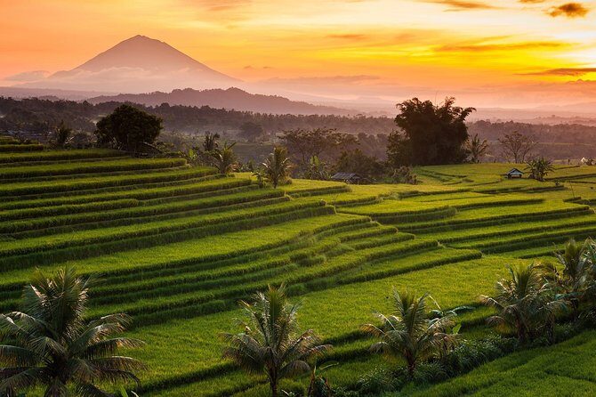 Shared Tour: Jatiluwih Rice Terraces - Ulun Danu Temple - Banyumala Waterfalls - FAQ