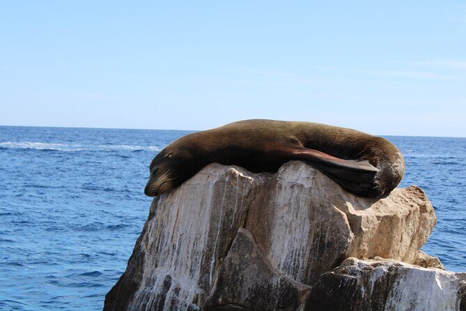 Shared Tour to the Arch of Cabo San Lucas - An In-Depth Look at the Experience
