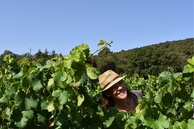 Shared Tour - Wine tour from Saint Tropez - A Full Breakdown of the Saint Tropez Wine Tour Experience