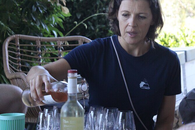 Shared Tour - Wine tour from Saint Tropez - Wrapping Up: Who Will Love This Tour?