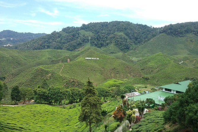Shared Transfer : Cameron Highland to Taman Negara via Kuala Tembeling Jetty - Who Should Consider This Service?