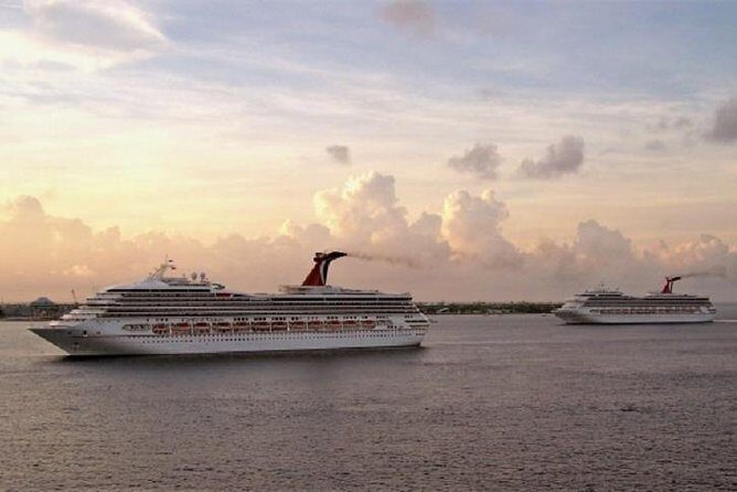 Shared Transfer From the Civitavecchia Port to Fiumicino airport - Is It Worth the Price?