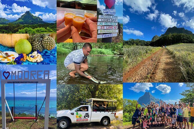 Shared Transfer: Hotel or Cruise Port to Tahiti Airport - The Practicalities: Transportation, Group Size, and Timing