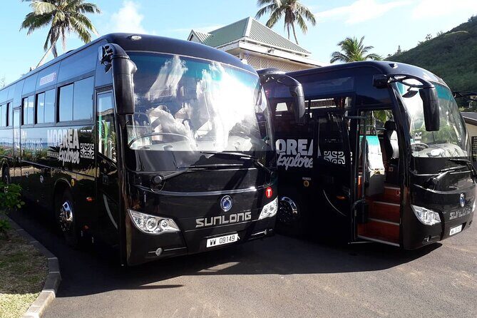 Shared Transfer : Moorea Airport (or) Pier to Hotel - The Booking and Confirmation Process