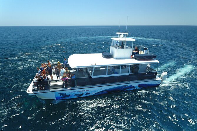 Shared Two-Hour Whale Watching Tour from Oceanside - Key Points