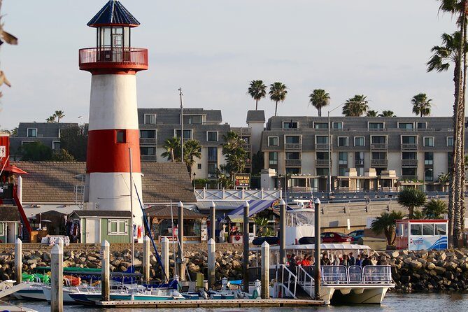 Shared Two-Hour Whale Watching Tour from Oceanside - Thorough Look at the Itinerary and Daily Experience