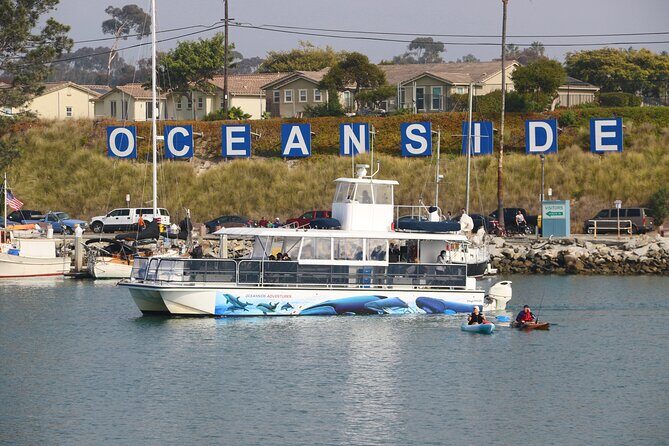 Shared Two-Hour Whale Watching Tour from Oceanside - In Summary: Why This Tour Is a Solid Choice