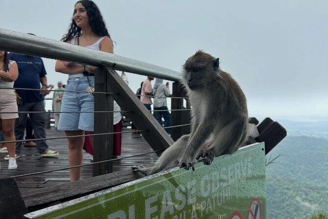 Sharing Langkawi Cruise Excursions With German Speaking Guide - FAQ