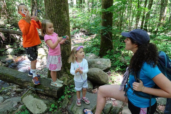 Sharing Nature with Children - The Sum Up