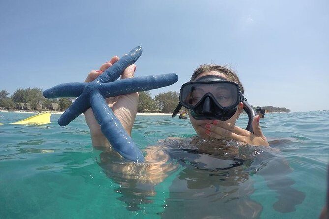 Sharing Snorkeling Trip Gili islands Depart Lombok/Gili Trawangan - Who Will Love This Tour?