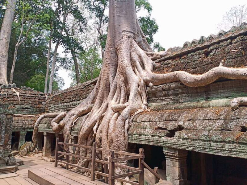 Sharing Trip to Angkor Temple with sunset - An Authentic Look at the Tour Experience